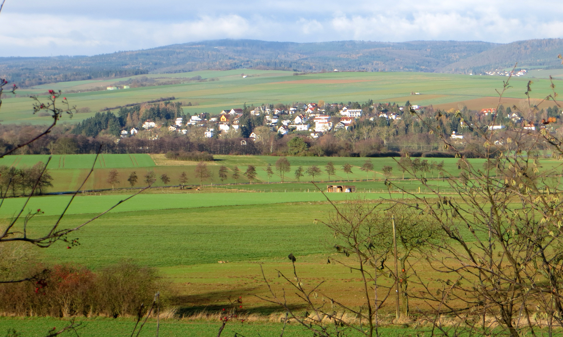 Ziegenberg im Wetteraukreis Foto & Bild | deutschland, europe, hessen ...