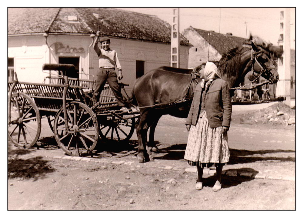 Zigeuner in Rumänien (1969) Foto & Bild | alte fotos, specials, spezial ...
