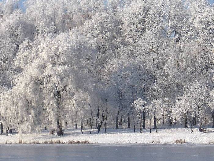 zima Foto & Bild | jahreszeiten, winter, natur Bilder auf fotocommunity