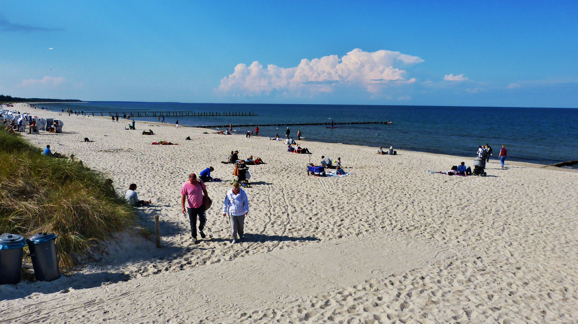 Zingst Darß 5 Foto & Bild | deutschland, europe, mecklenburg ...