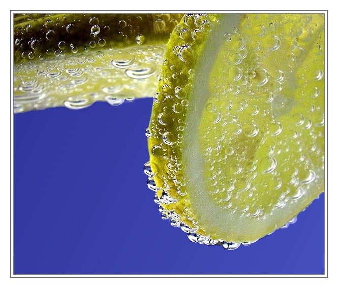 Zitrusblubber Foto & Bild | nah- & makro, techniken, aufnahme-techniken Bilder auf fotocommunity