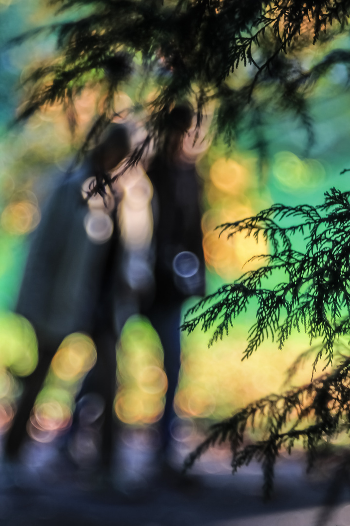 Zu Zweit durch den Herbst Foto & Bild | streetfotografie mit menschen, street: spontane ...