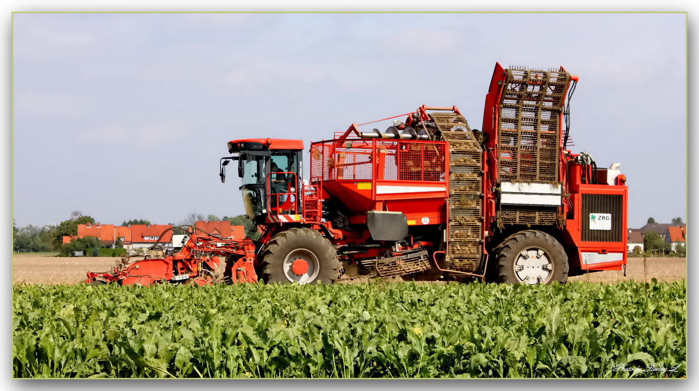Zuckerrübenernte Foto & Bild | industrie und technik ...