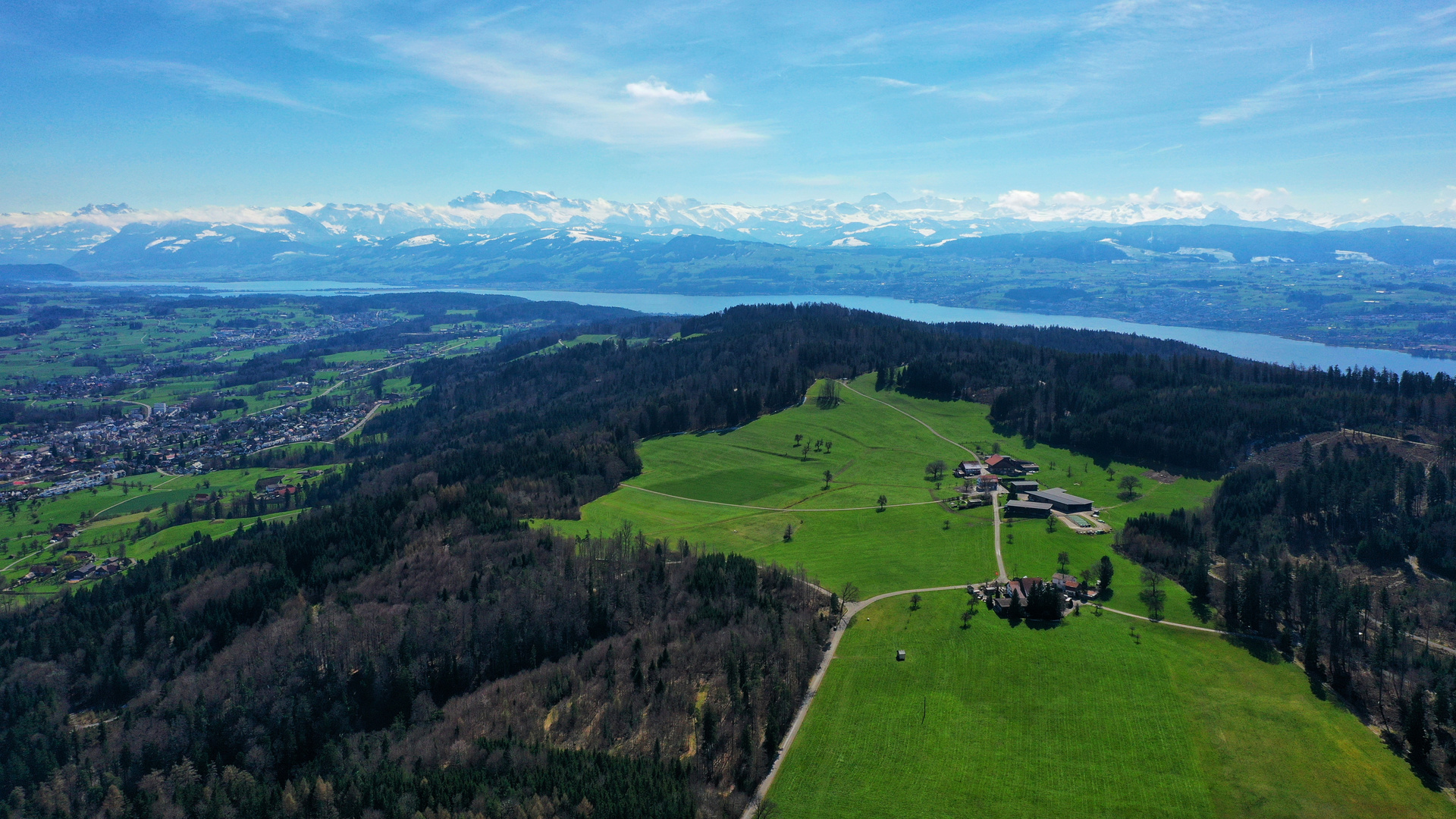 Zürich Forch Foto & Bild | fotos, natur, schweiz Bilder auf fotocommunity