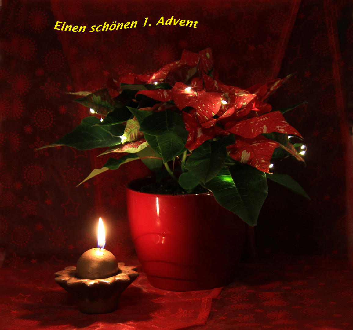 Zum 1. Advent..... Foto & Bild | gratulation und feiertage, weihnachten ...