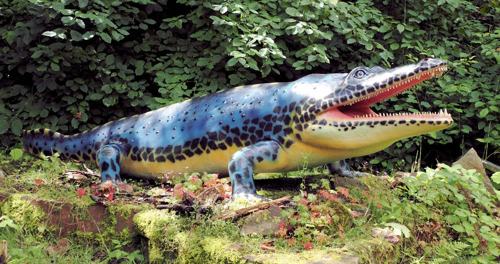 Zum Blue Monday … Foto & Bild | blau, monday, montag Bilder auf ...