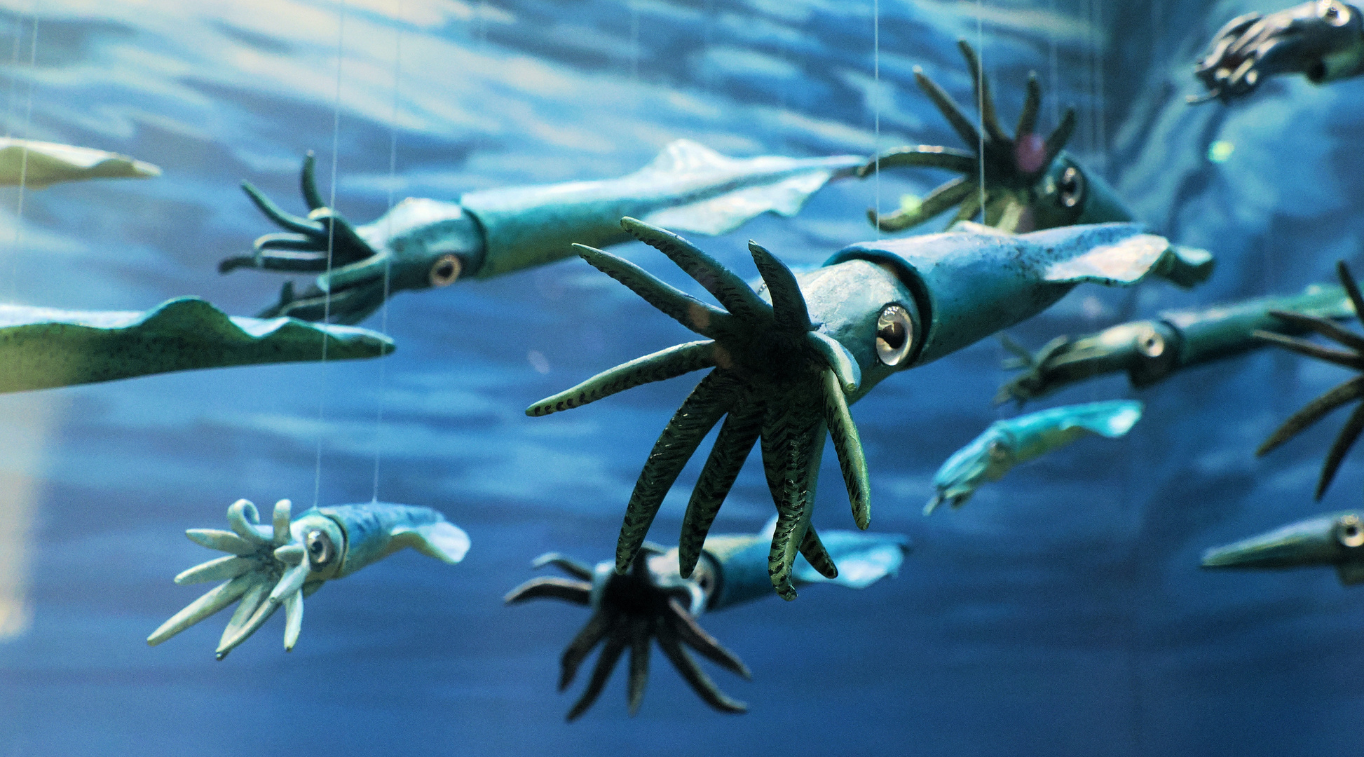 Zum Blue Monday … Foto & Bild | blue, spezial, blau Bilder auf ...