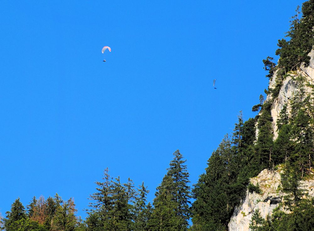 Zum Blue Monday … Foto & Bild | blue, spezial, blau Bilder auf ...