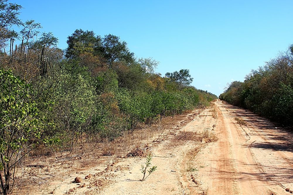 Zum Cerro León Foto & Bild | south america, landschaft, paraguay Bilder ...