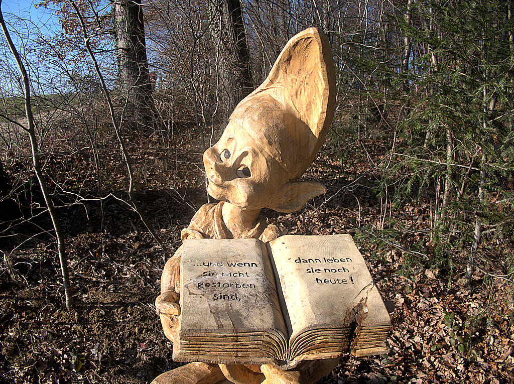 Zum Jahresende 2019, im Märchenwald Reinach BL Foto & Bild | outdoor ...