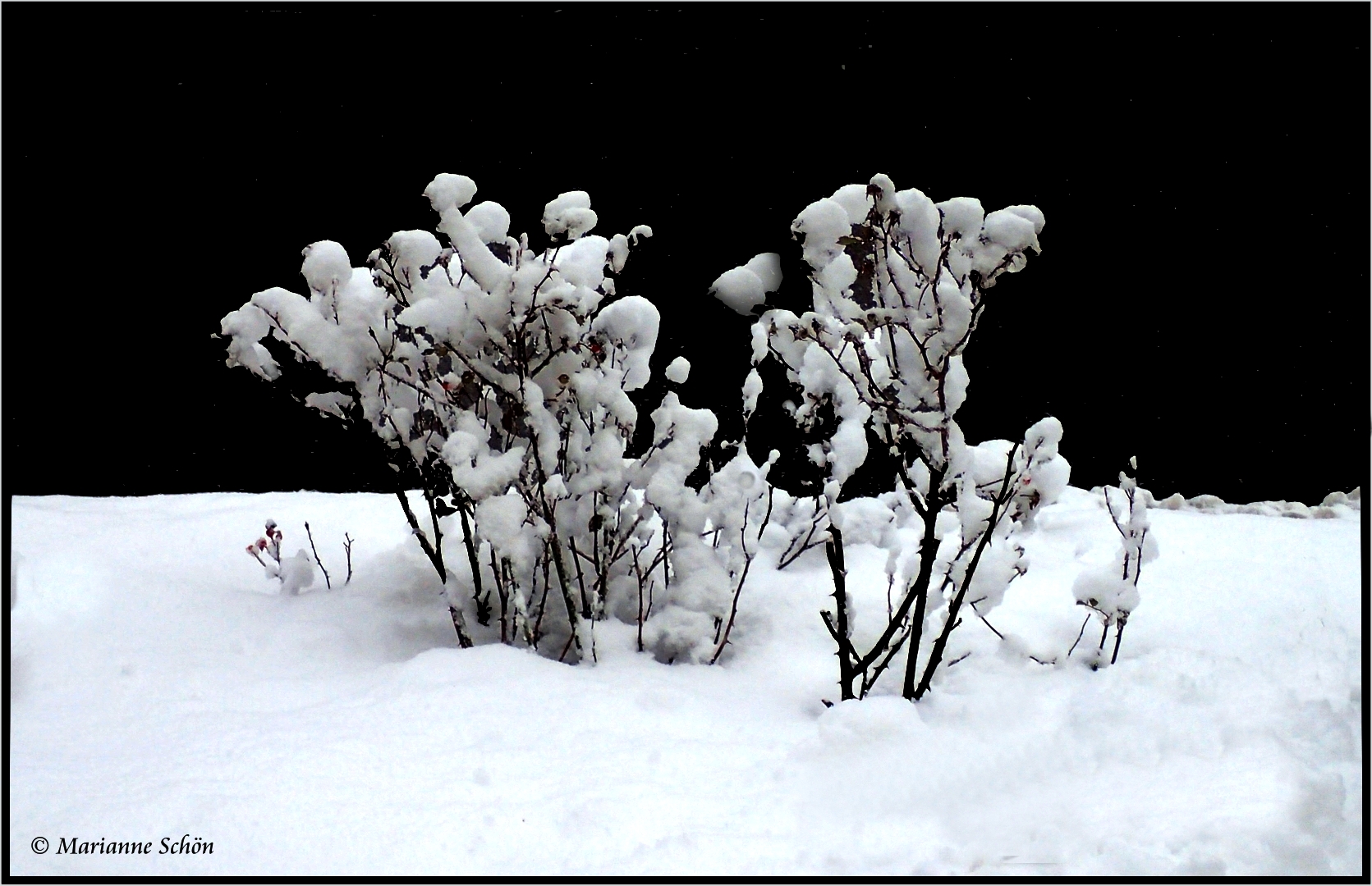 Zum schwarz-weißen Freitag... Foto & Bild | spezial, dokumentation ...