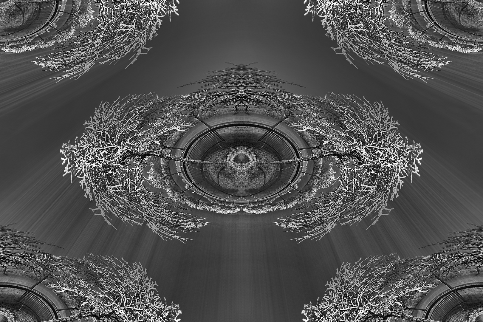 Zum Schwarz-weißen Freitag - Lass uns vom Winter träumen ... Foto & Bild | projekte, monochrom ...