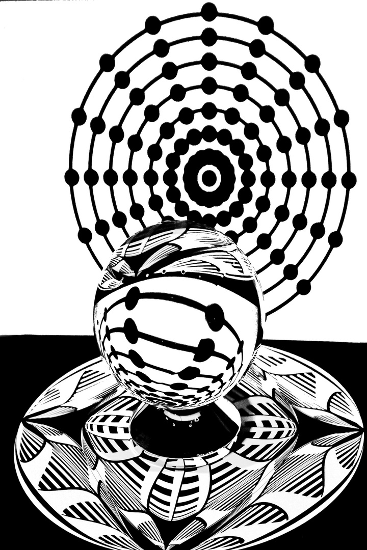 Zum Schwarz-weißen Freitag - Metamorphose in sw Foto & Bild | projekte, fotomontage, monochrom ...