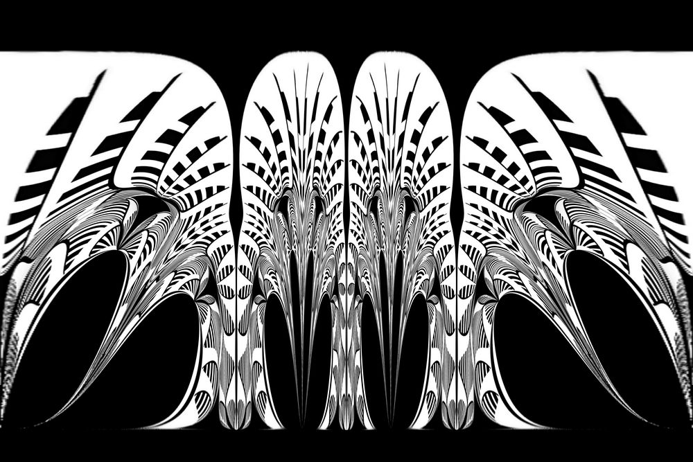 Zum Schwarz-weißen Freitag - Wenn SW beflügelt Foto & Bild | projekte, fotomontage, monochrom ...