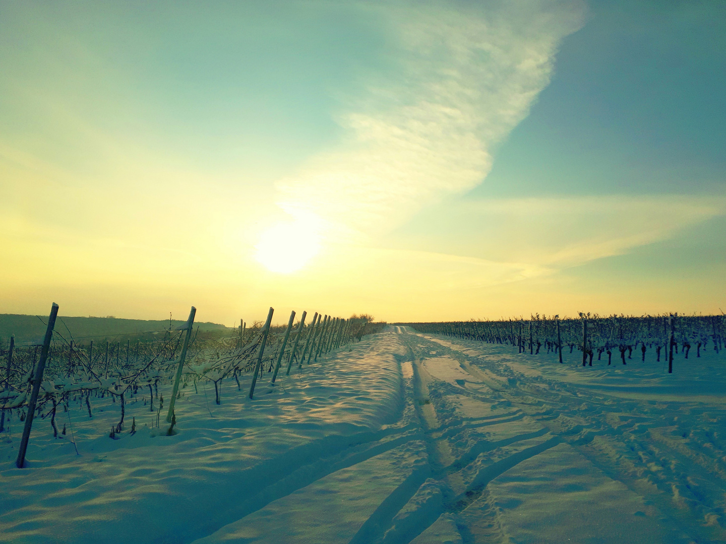 Zum Thementag Foto & Bild | jahreszeiten, winter, schnee Bilder auf fotocommunity