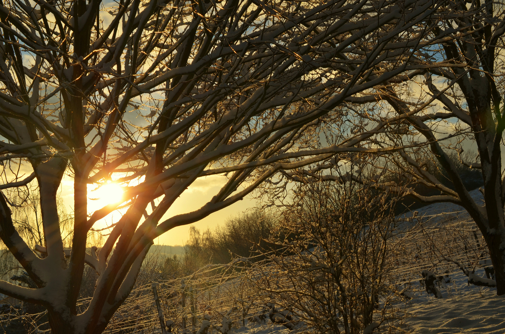 zum Thementag Foto & Bild | projekte, thementage, 7 - sonntag mit sonne Bilder auf fotocommunity