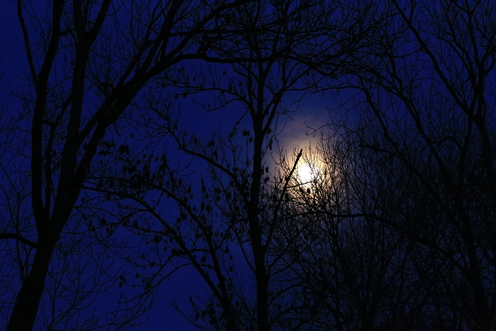 zur Geisterstunde Foto & Bild | landschaft, naturlandschaft bei nacht ... zur Geisterstunde Foto & Bild | landschaft, naturlandschaft bei nacht ...