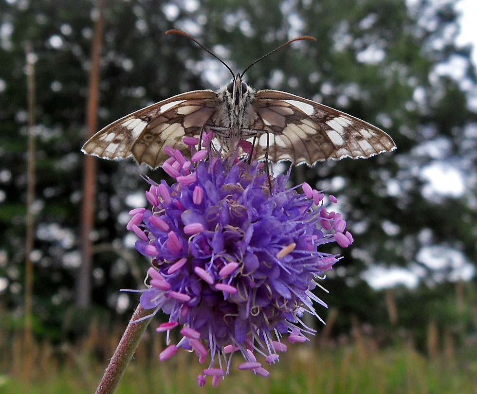 zurück aus dem Urlaub Ende August Foto & Bild | tiere, wildlife ...
