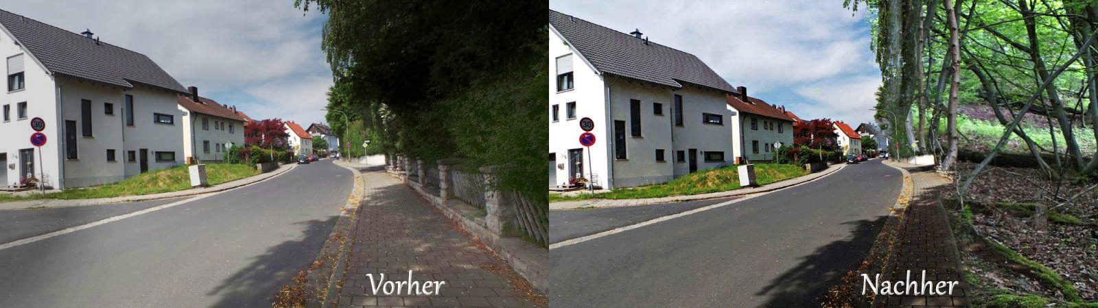 Zusammengesetzte Gegend Foto & Bild | spezial, wald, outdoor Bilder auf ...