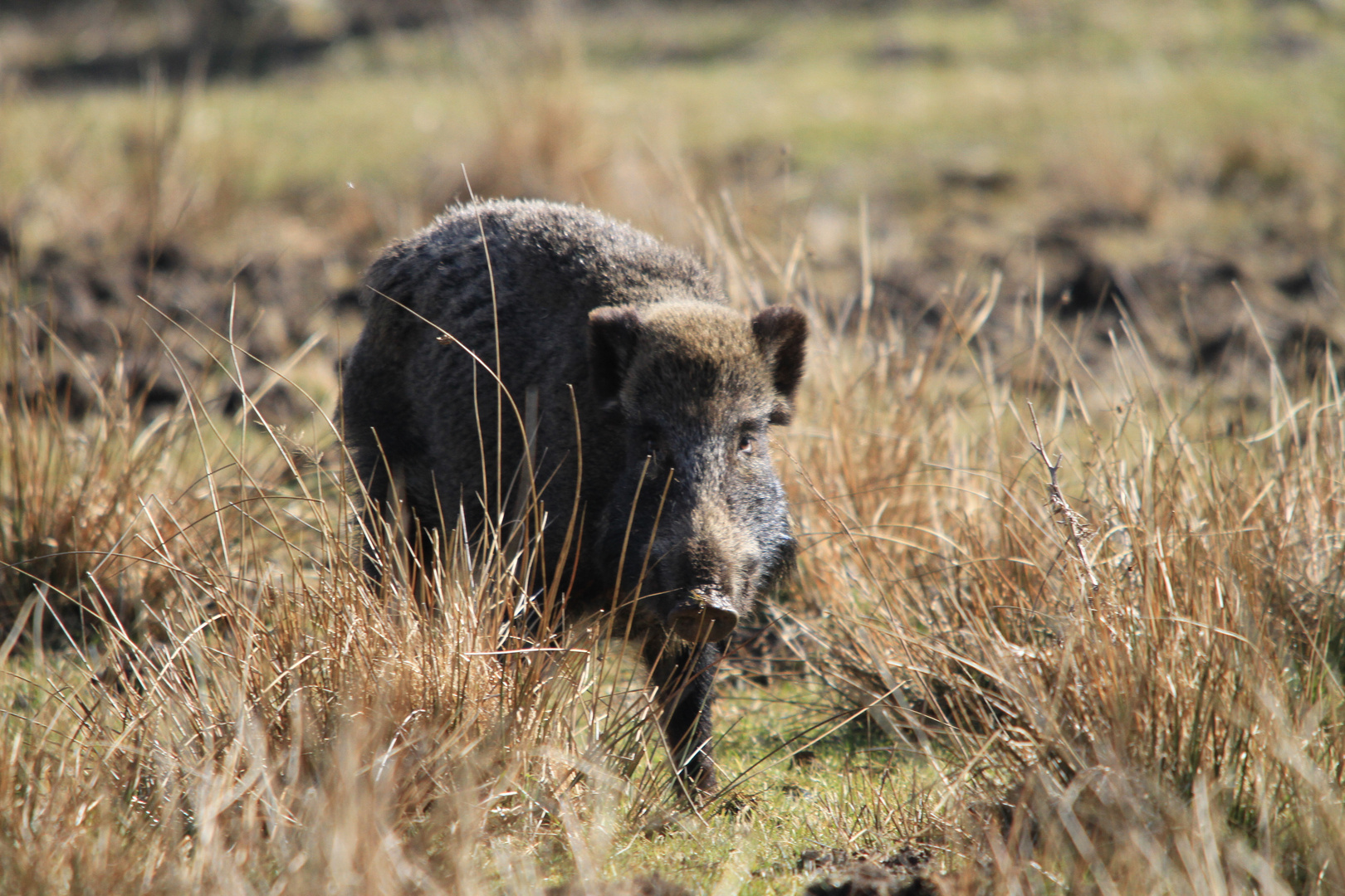 Zwei haben Angst Foto & Bild | tiere, wildlife, säugetiere Bilder auf ...