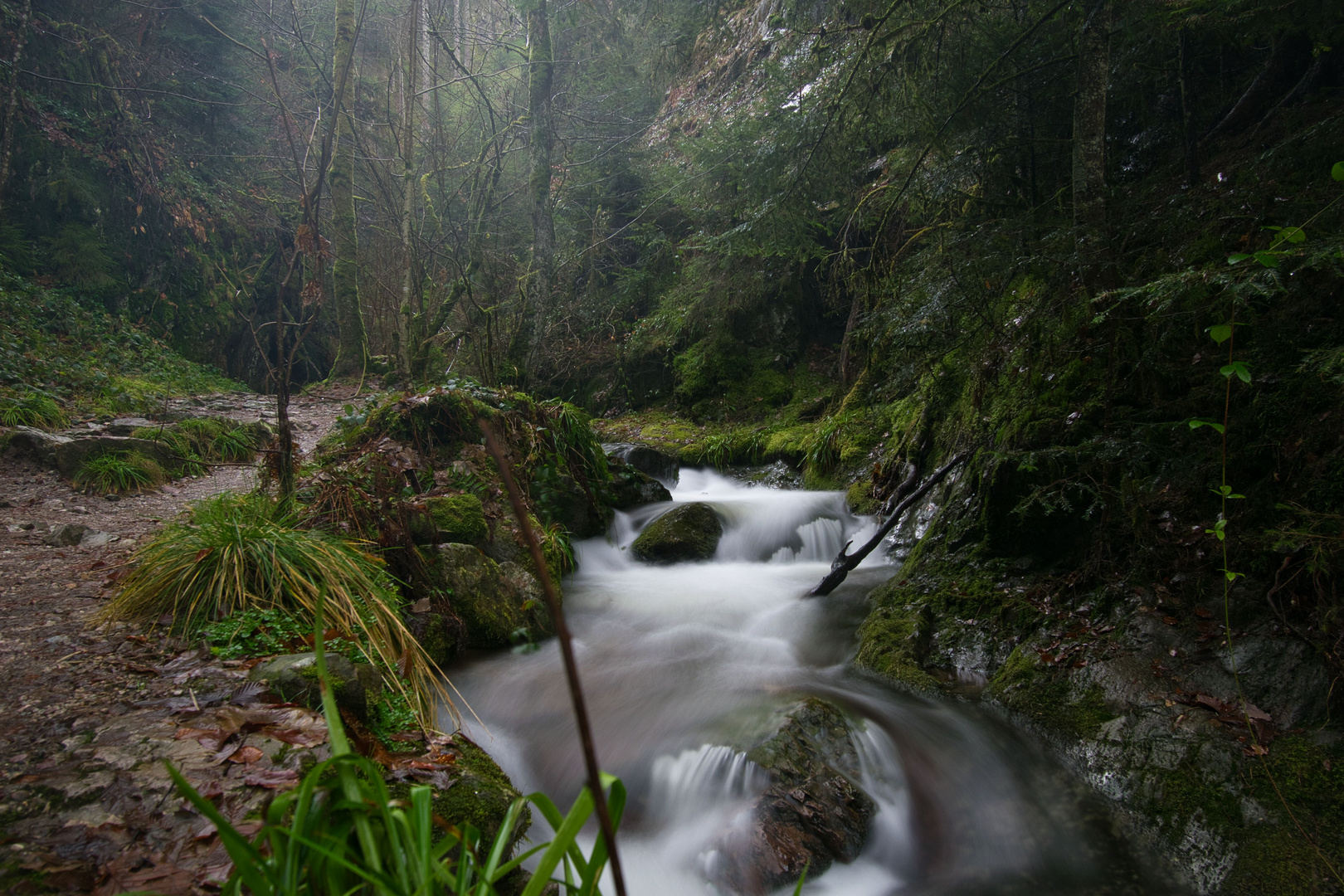 zwei Wege Foto & Bild | sonstiges, langzeitbelichtungen, edelfrauengrab ...