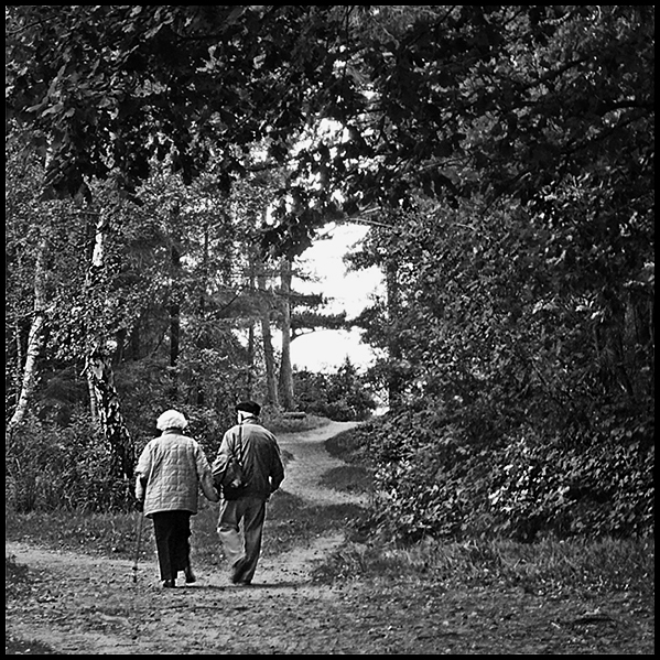 Zwei Wege? Foto & Bild | world, wald, outdoor Bilder auf fotocommunity