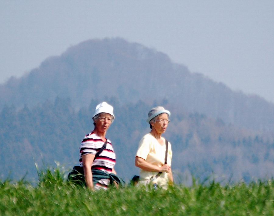 Zweisamkeit...das ganze Leben lang Foto & Bild | erwachsene, zwillinge & co, mehrere menschen ...