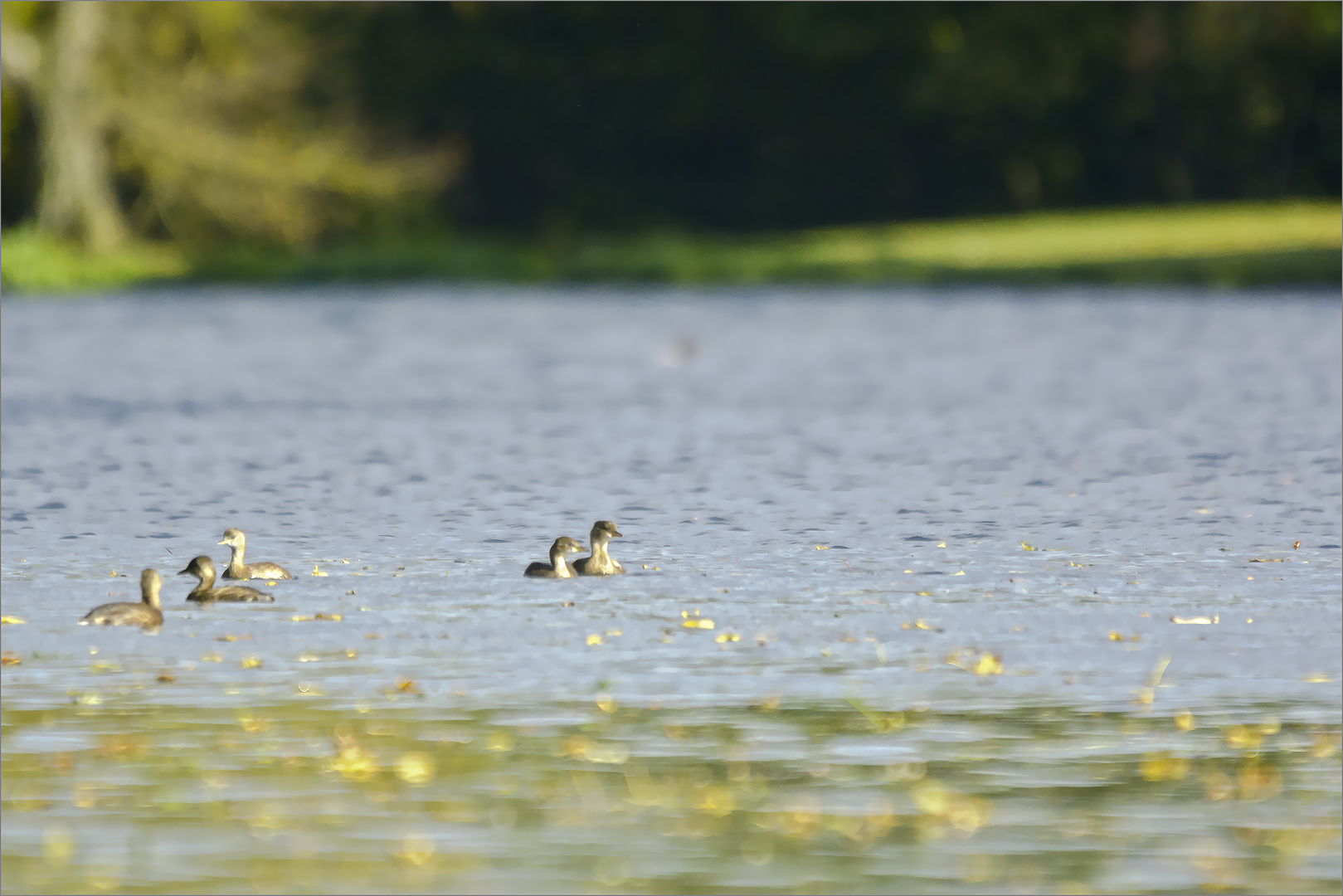 Zwerge 01 Foto & Bild | park, münchen, natur Bilder auf fotocommunity