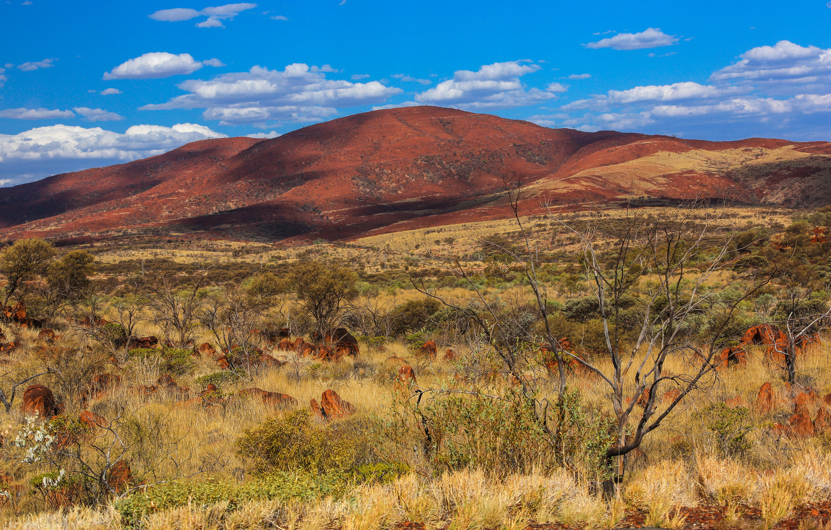 Zwischen Paraburdoo und Tom Price Foto & Bild | australia & oceania ...