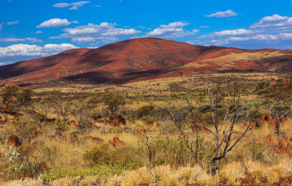 Zwischen Paraburdoo und Tom Price Foto & Bild | australia & oceania ...