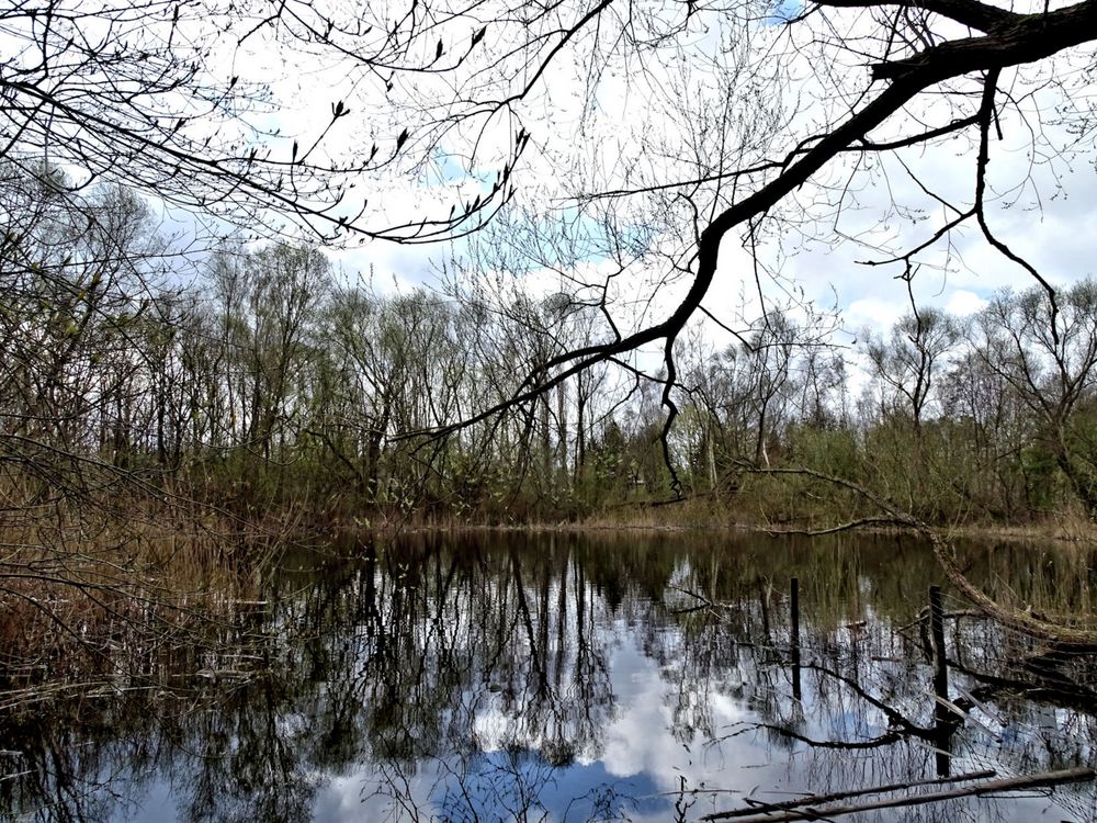 Zwischen Sonne und Schneeschauer Foto & Bild | landschaft, bach, fluss & see, see, teich ...